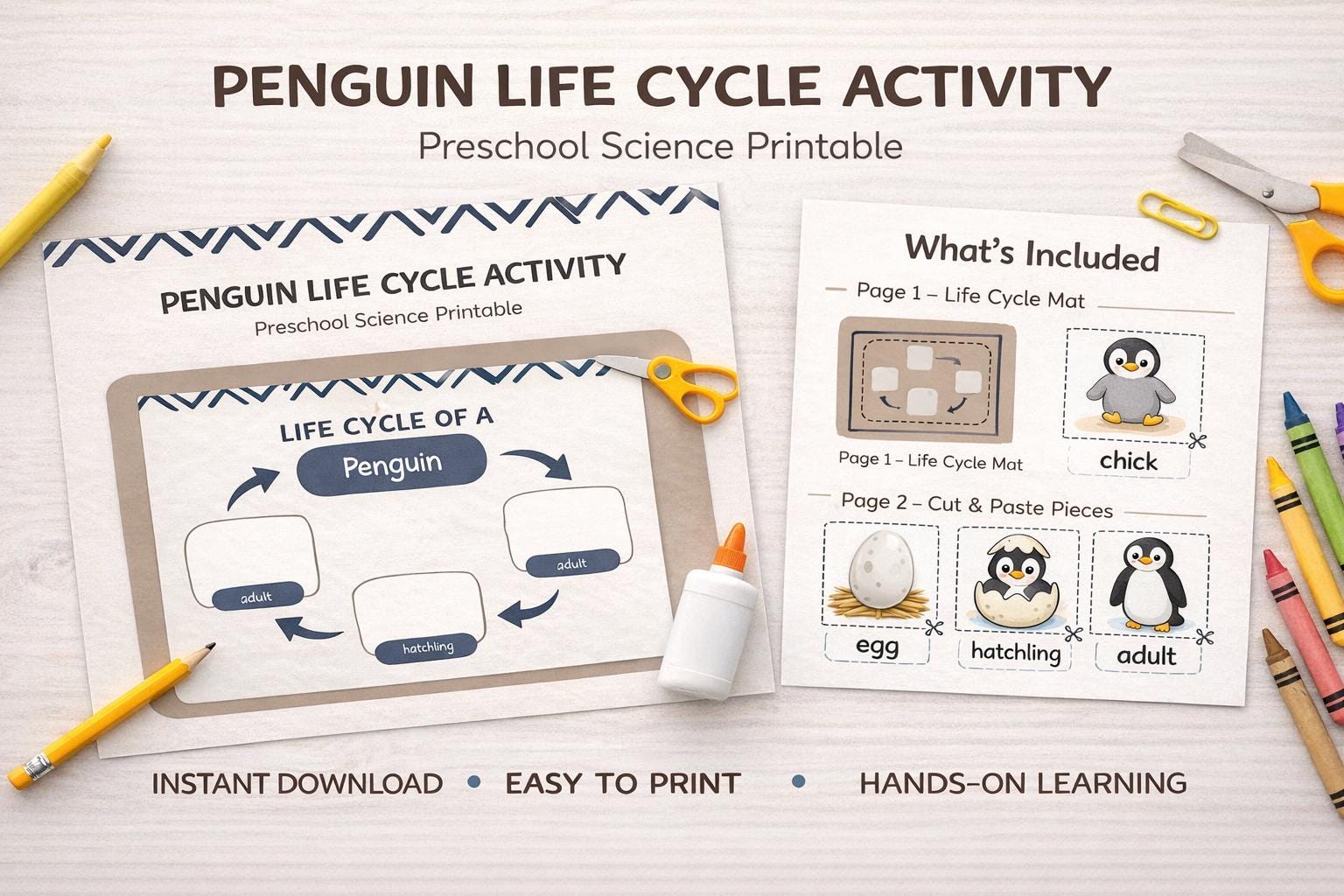 Penguin Life Cycle Worksheet Printable | Preschool Science Activity ...