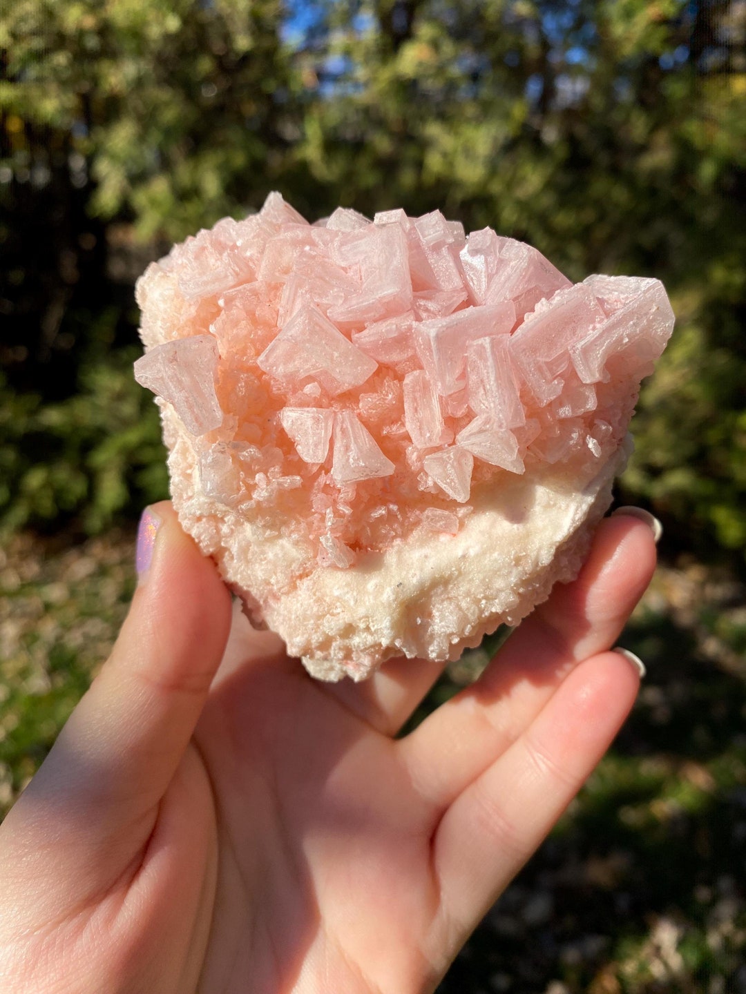 Rare Pink Halite Crystal From Searles Lake, California | Bubblegum Pink ...