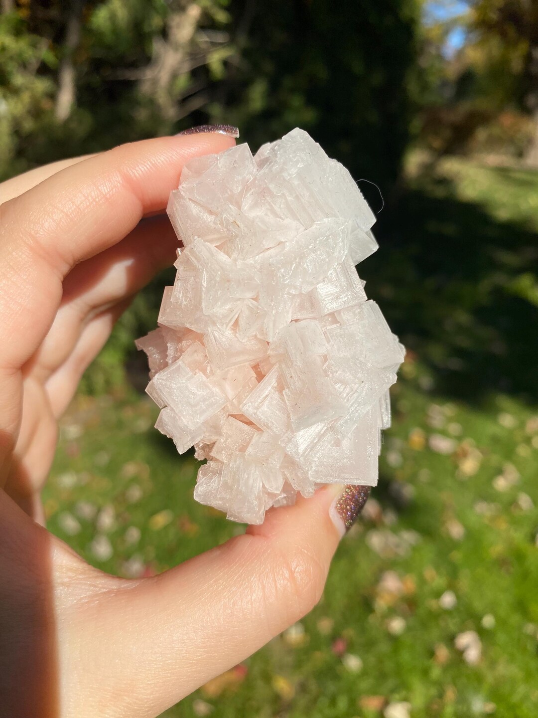 Rare Pink Halite Crystal From Searles Lake, California | Natural Cubic ...