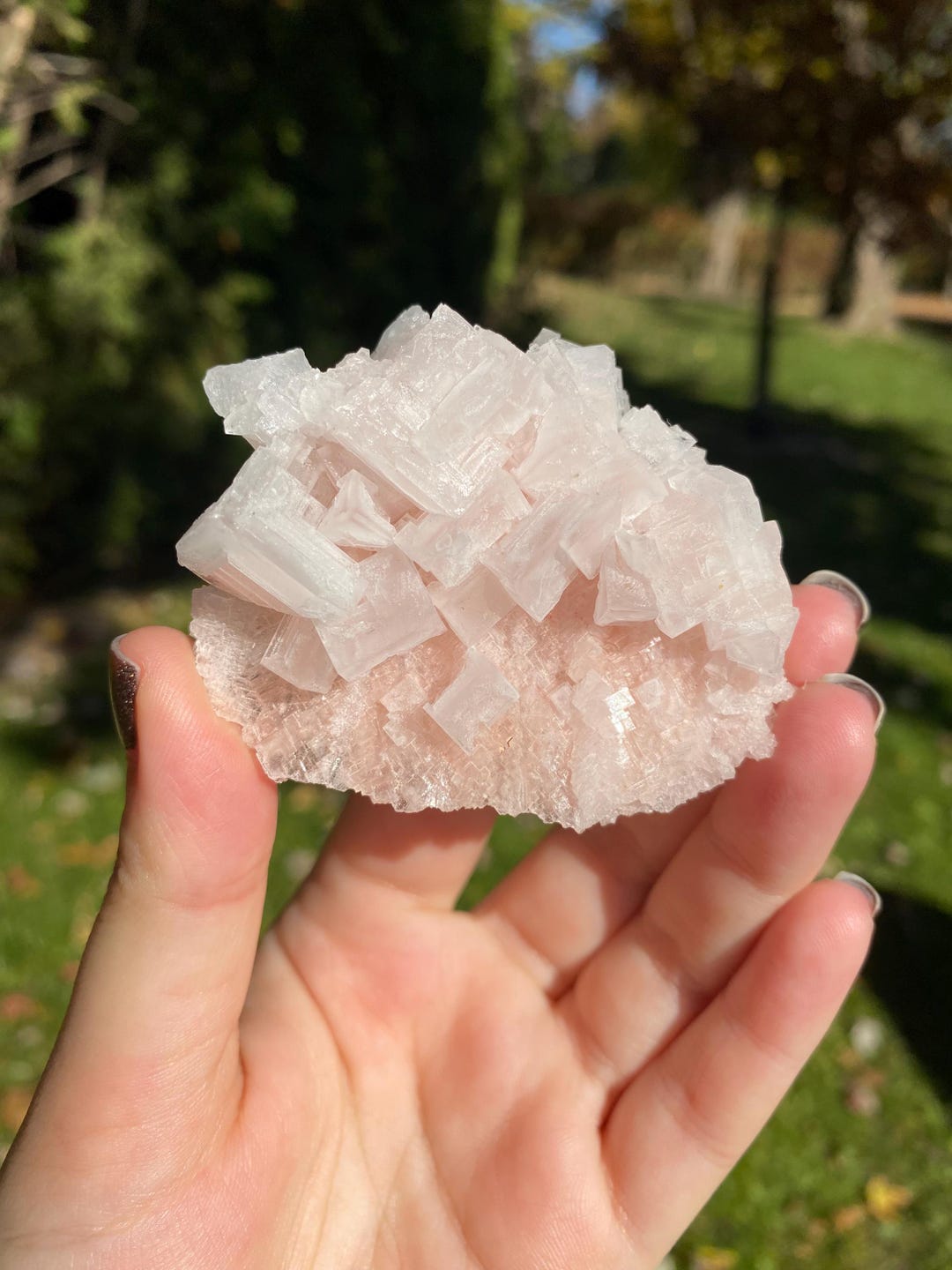 Rare Pink Halite Crystal From Searles Lake, California | Natural Cubic ...