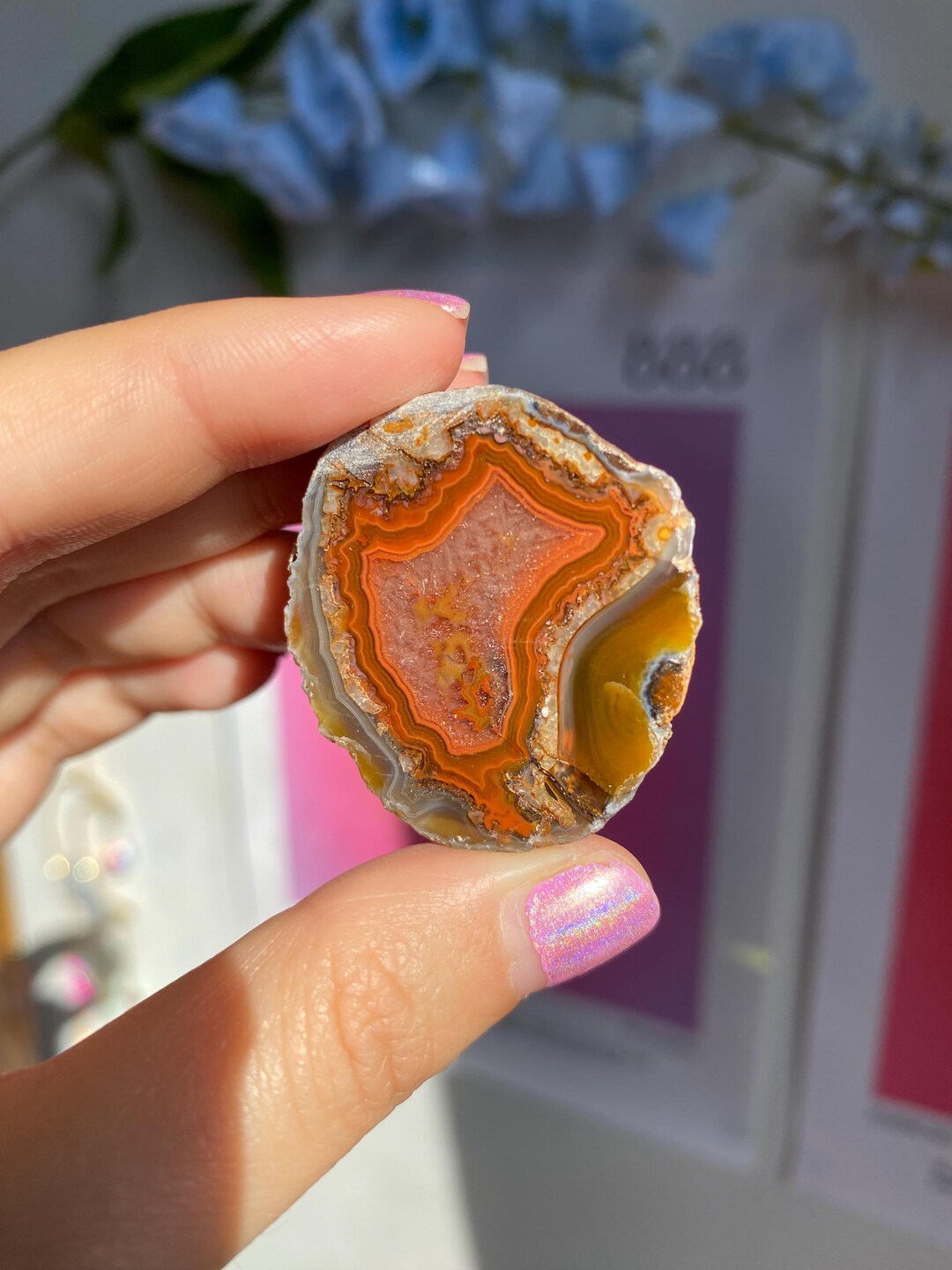Condor Agate From Argentina | Polished Cut Half Nodule | Red and Orange ...