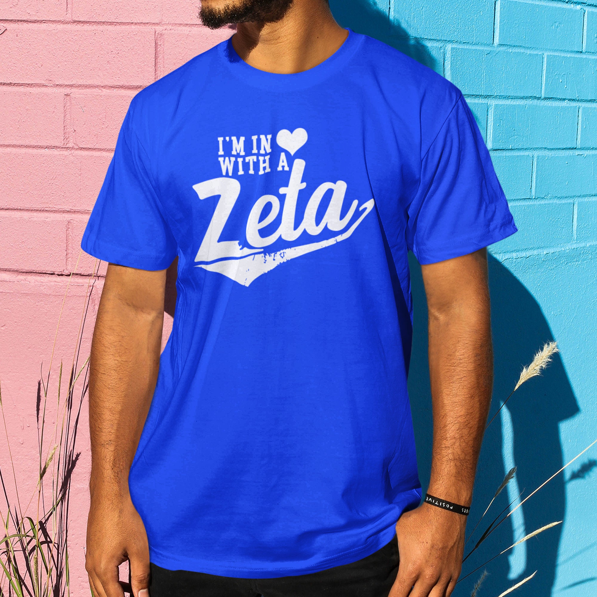 I'm in Love With A Zeta - Phi Beta, Zetas Apparel, Zphib Sorority Shirt ...