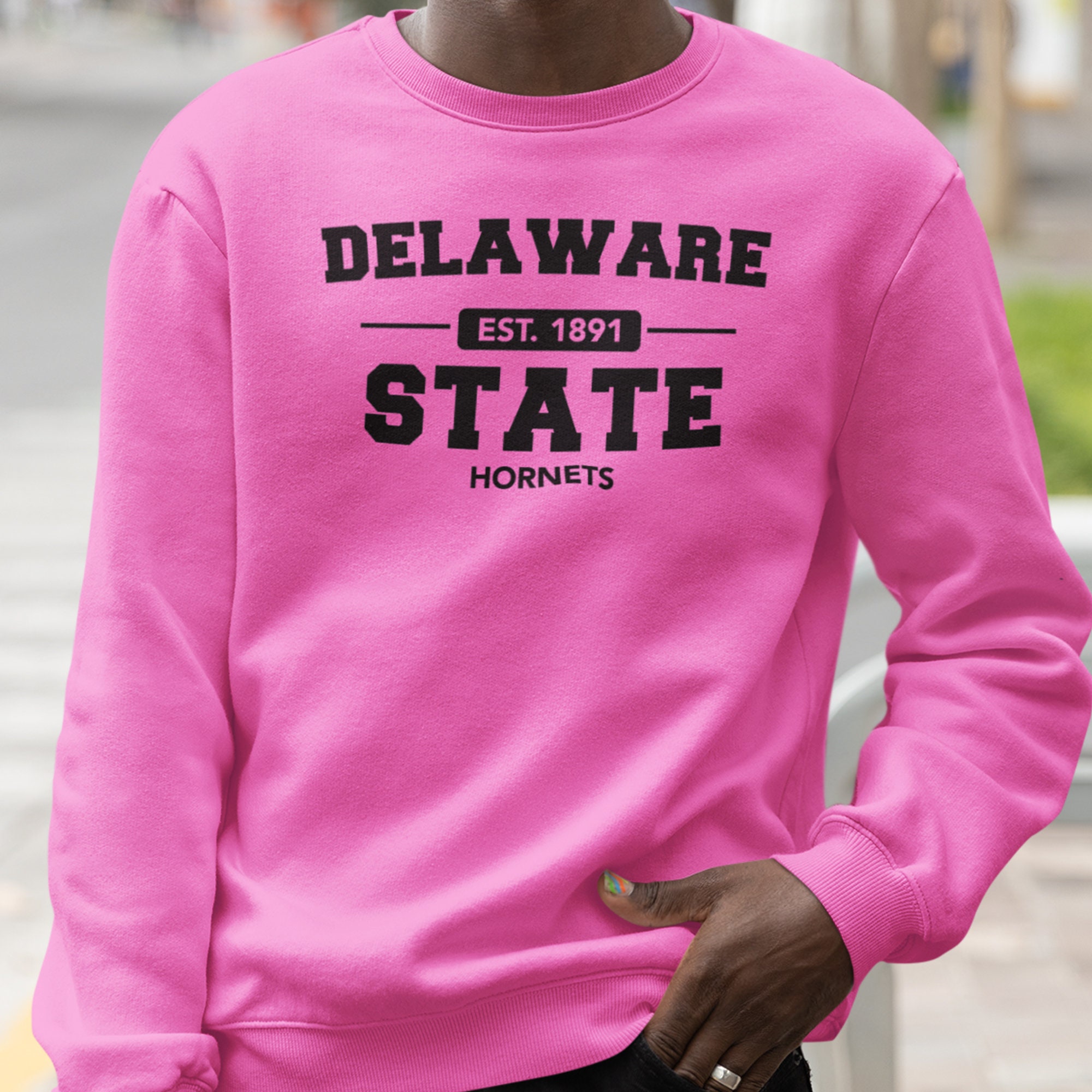 Delaware State Alumni Ed. (pink) -delaware Hornets College Apparel ...