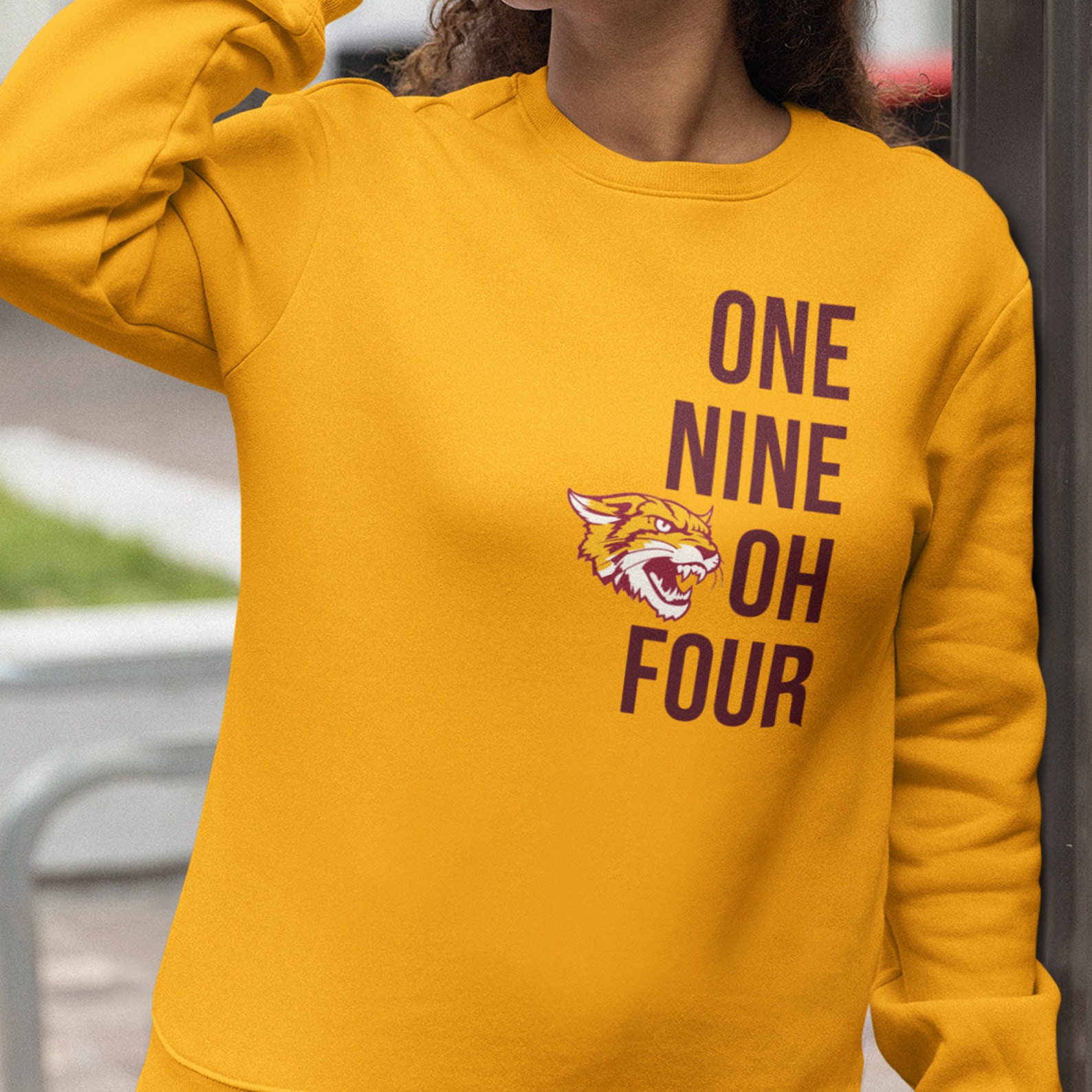 1904 Bethune Cookman - Vintage Bethune Cookman Shirt, Bethune Cookman ...