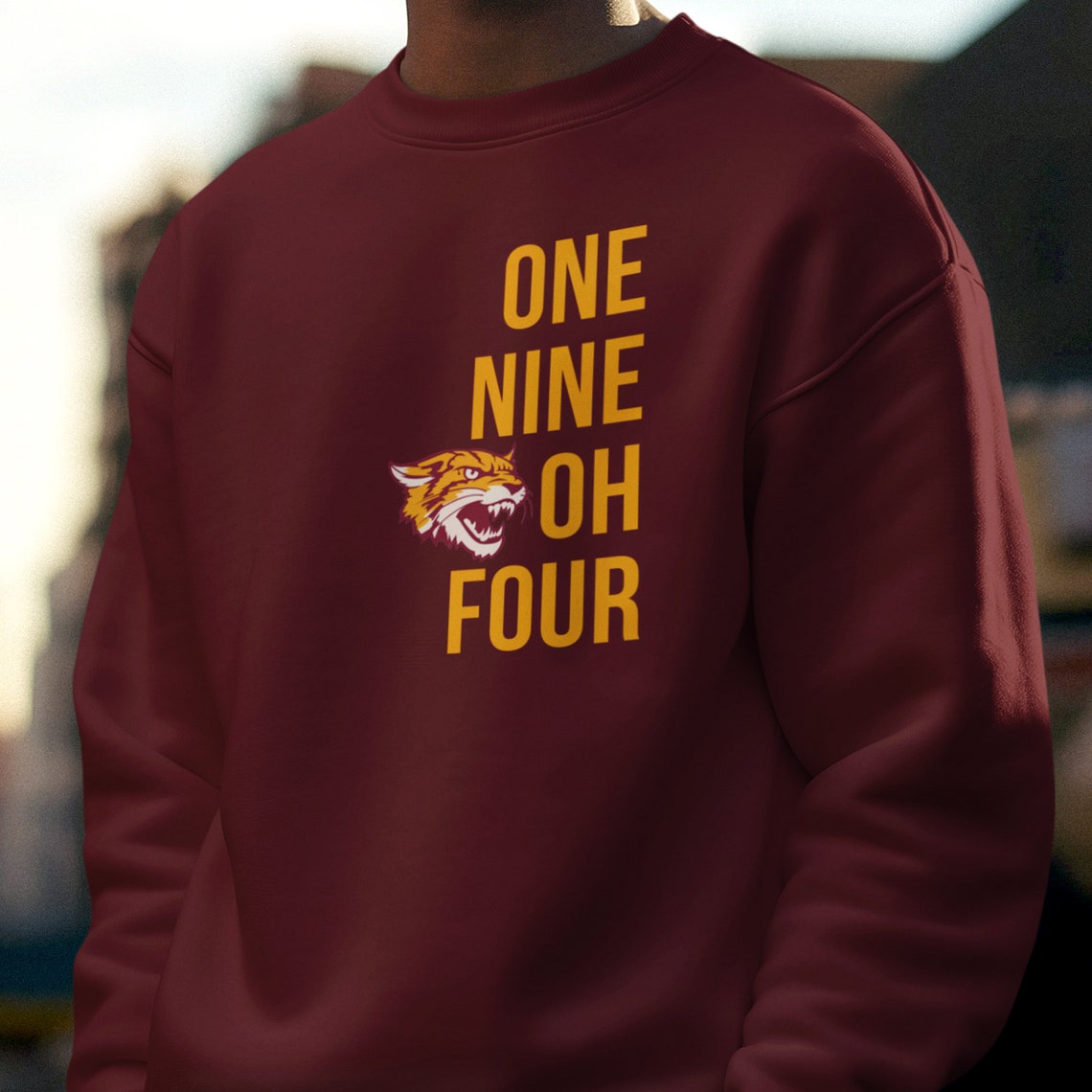 1904 Bethune Cookman - Vintage Bethune Cookman Shirt, Bethune Cookman ...