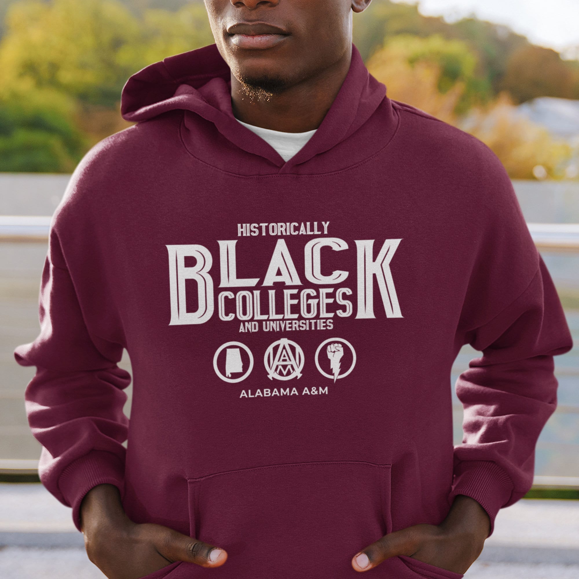 Alabama A&M Legacy Edition Alabama HBCU Apparel, Alabama AAMU Bulldogs ...