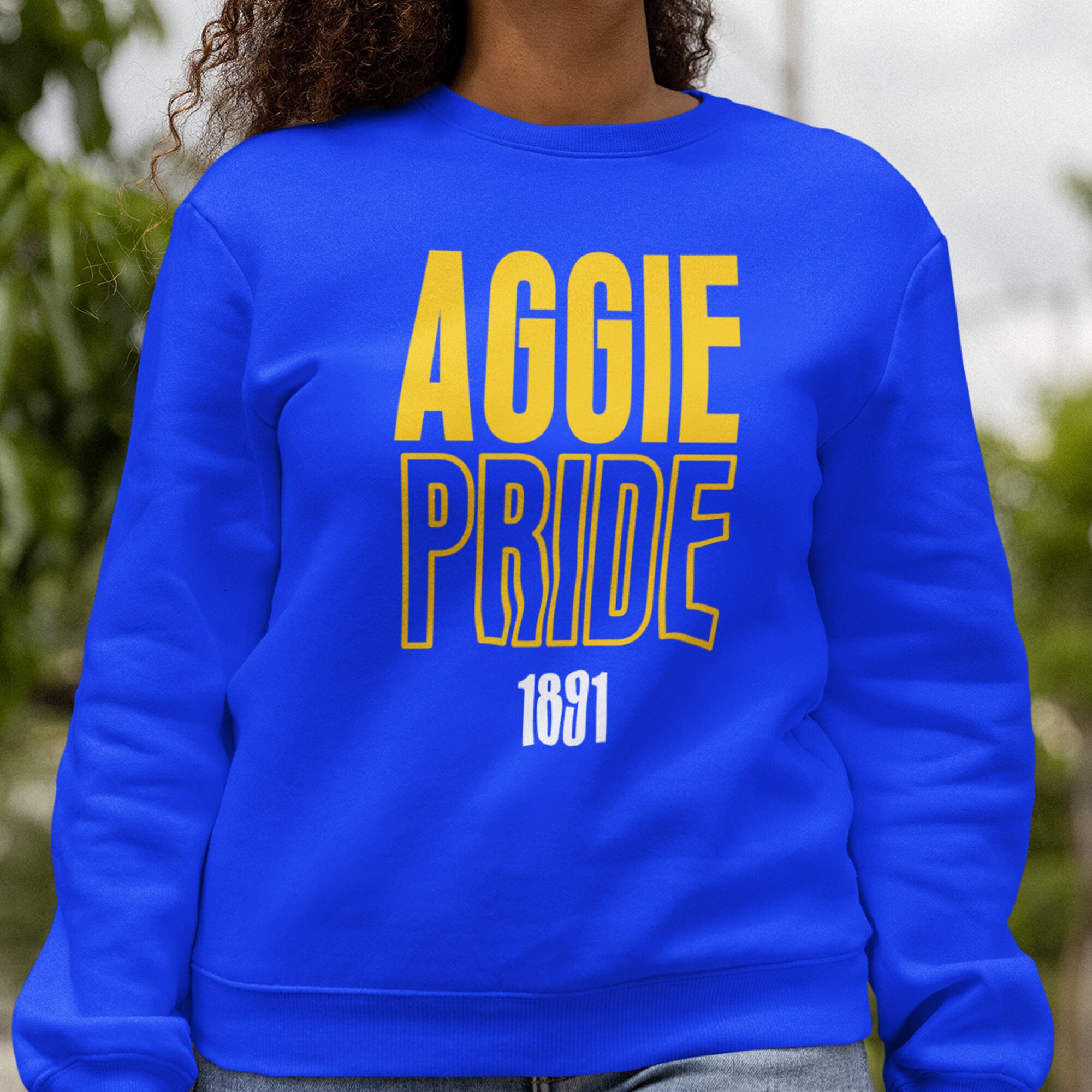 North Carolina Aggies A&T 2-in-1 Combo Pack Aggie Hoodies, Vintage ...