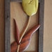 Yellow Tulip Intarsia Art Etsy