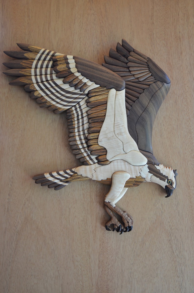 Osprey Intarsia Art - Etsy