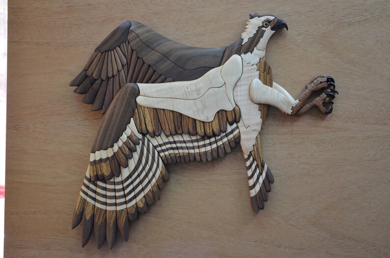 Osprey Intarsia Art - Etsy