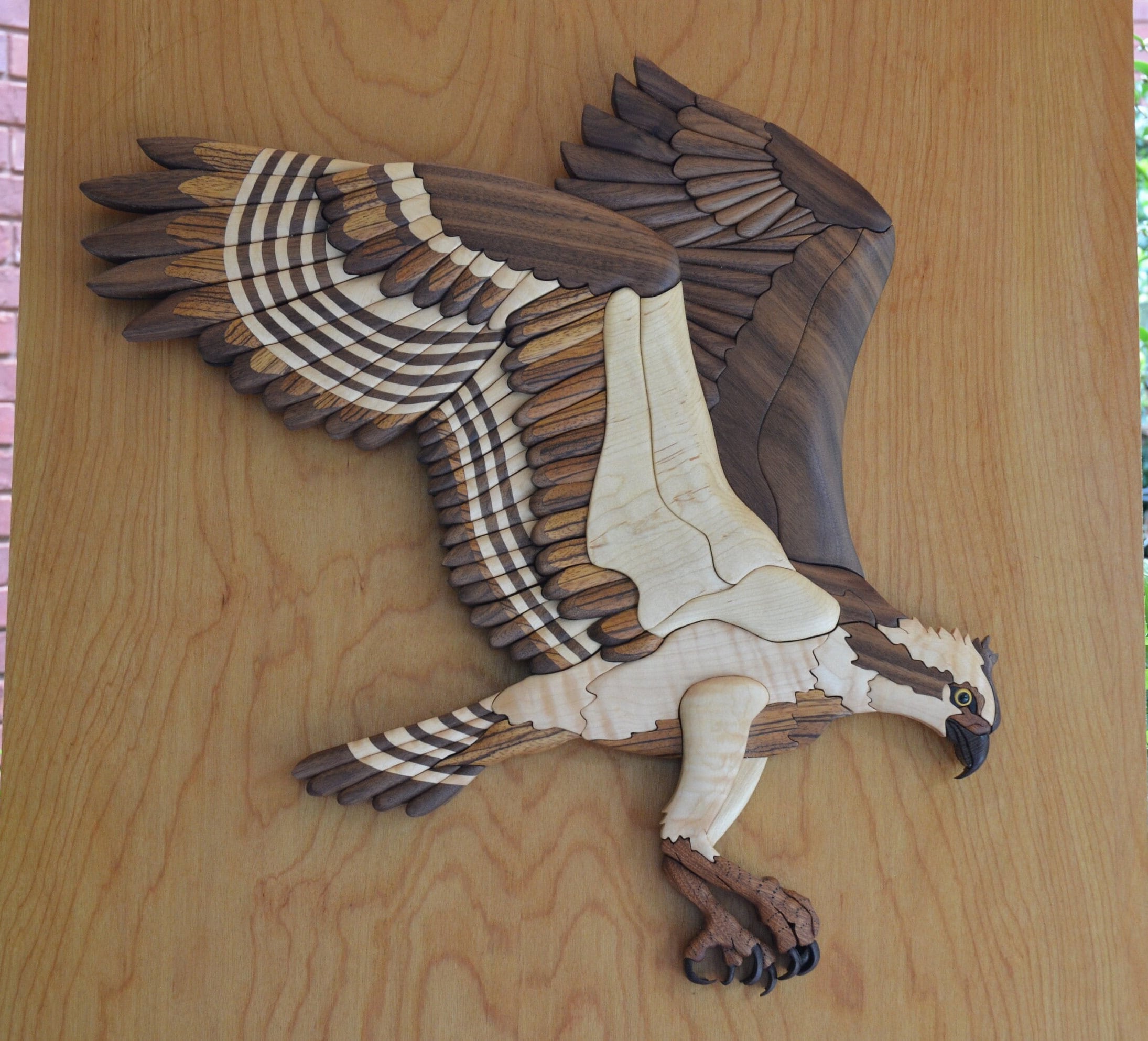 Osprey Intarsia Art - Etsy