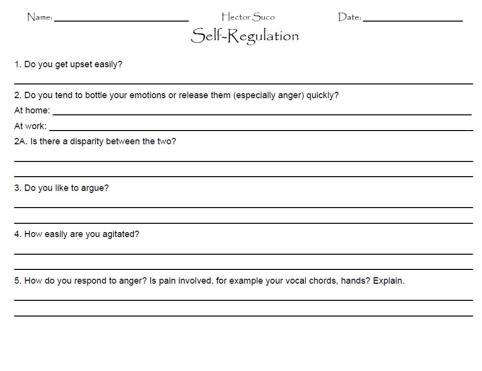 Self-regulation Worksheet - Etsy