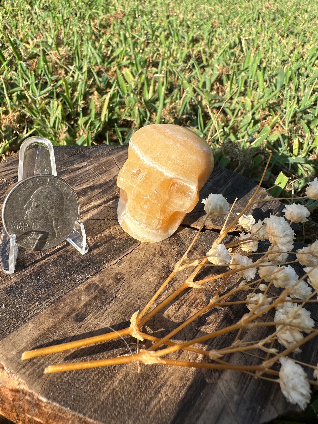 Orange Calcite Skull Calcite Crystal Skull Orange Calcite - Etsy