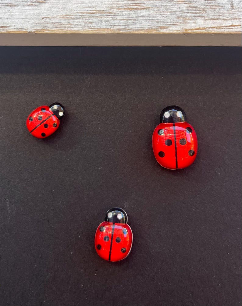 Ladybug Magnets. Set of 3 - Etsy