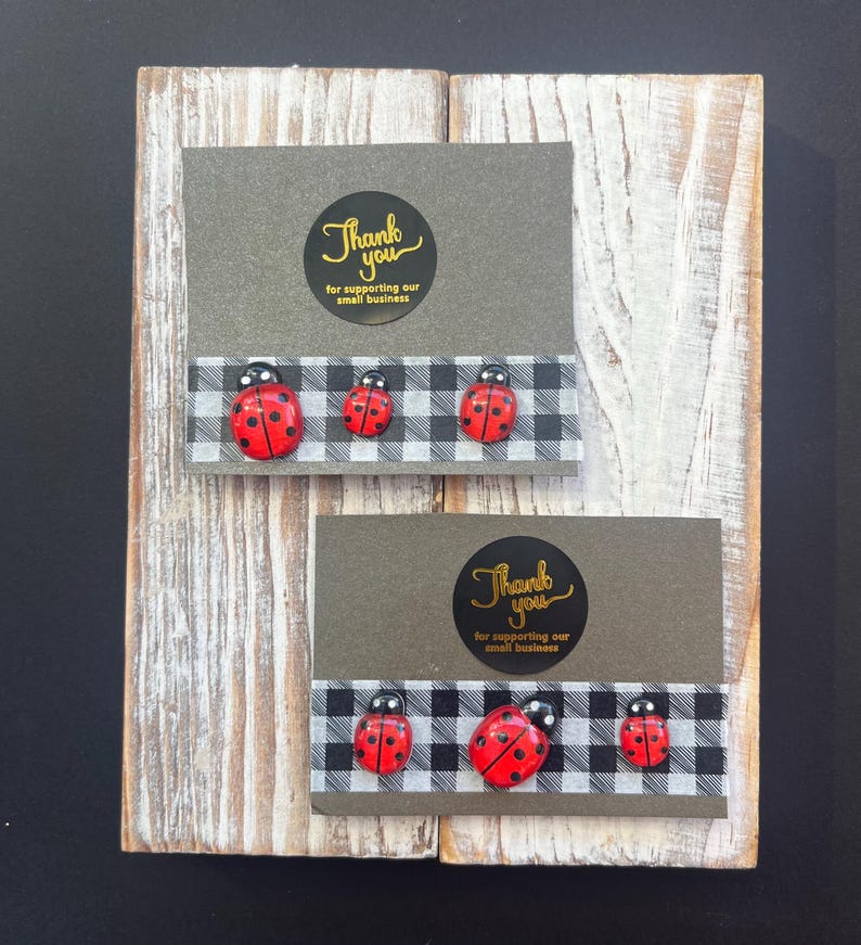 Ladybug Magnets. Set of 3 - Etsy