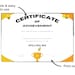 Spelling Bee Certificate - Etsy