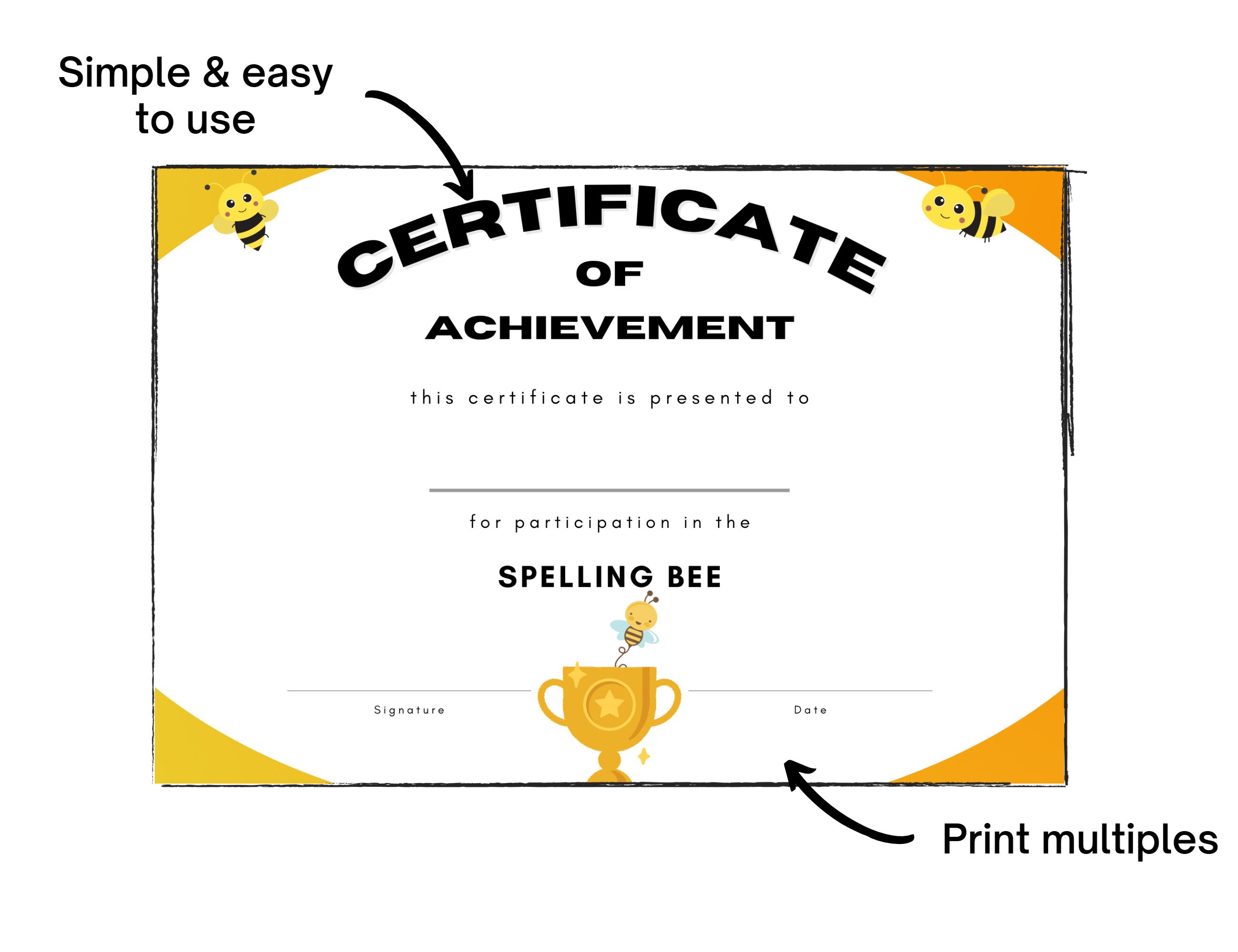 Spelling Bee Certificate - Etsy