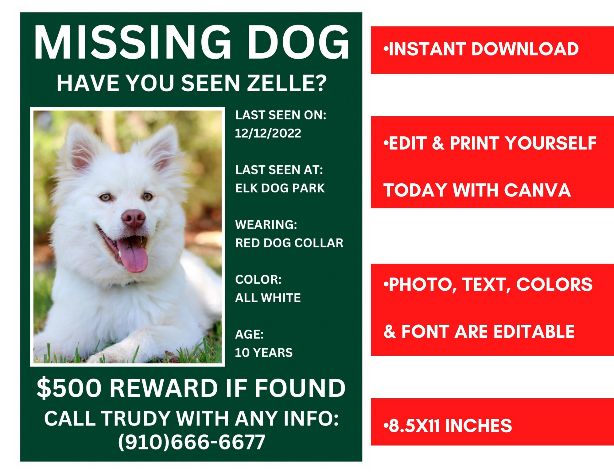 Editable Green & White Missing Dog Flyer Template - Etsy