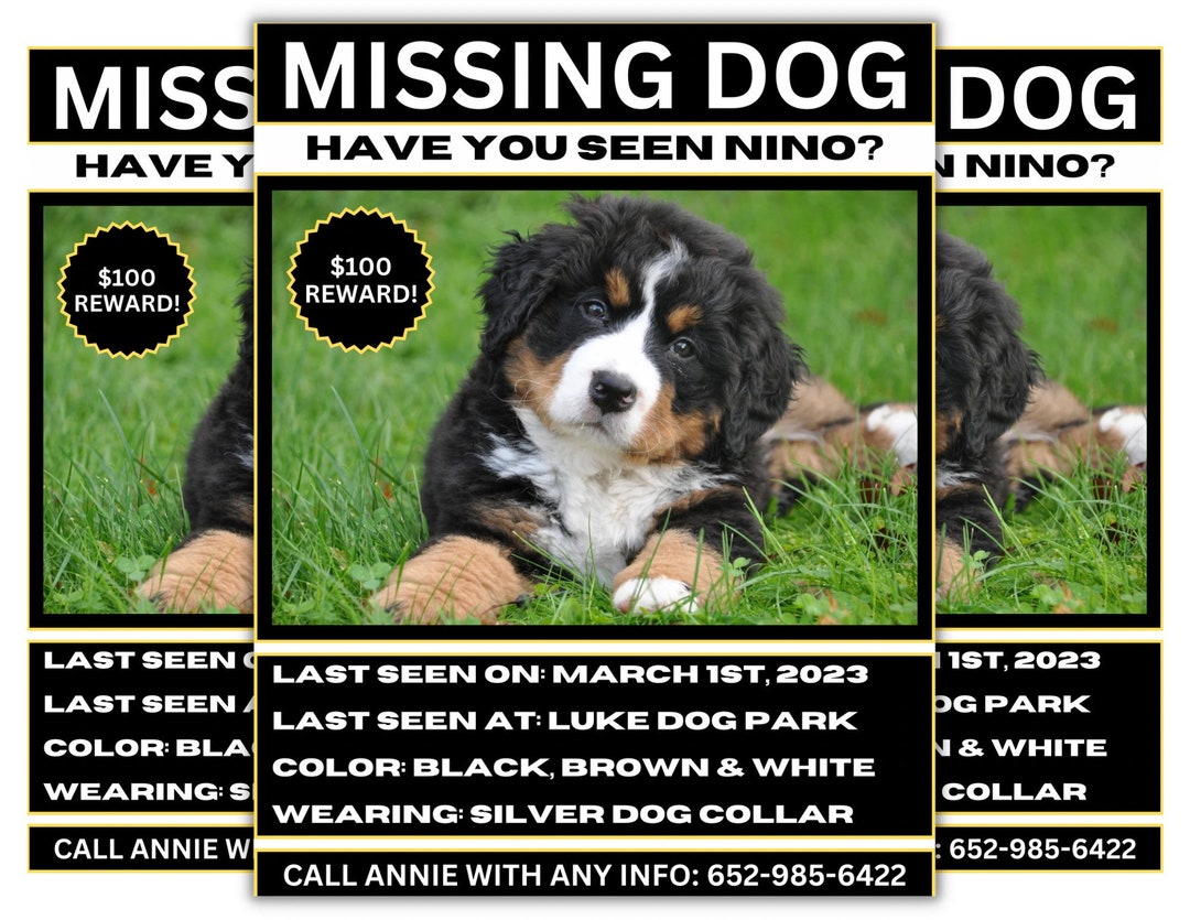 Editable Black & Yellow Missing Dog Flyer Template, Canva Missing Dog ...