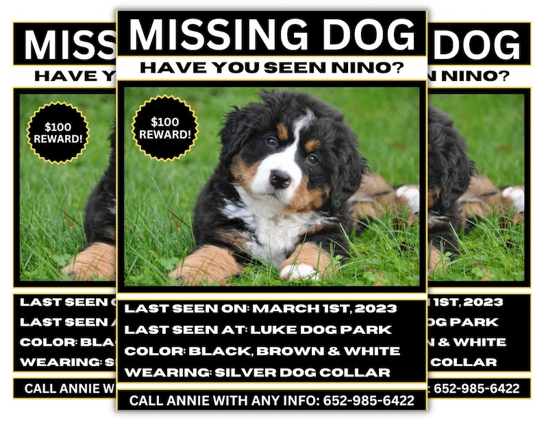 Editable Black & Yellow Missing Dog Flyer Template, Canva Missing Dog ...
