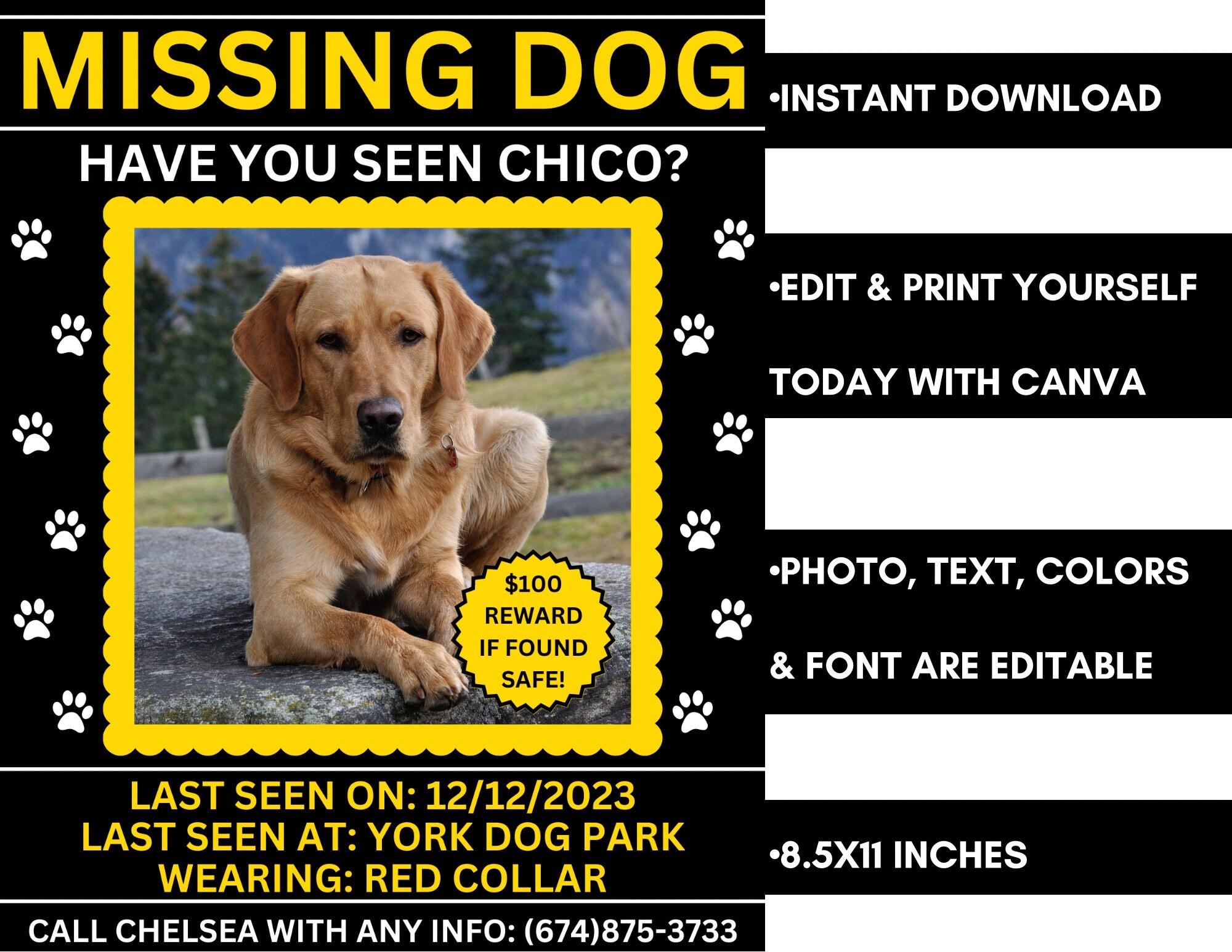 Black & Yellow Missing Dog Flyer Template, Editable Canva Missing Dog ...