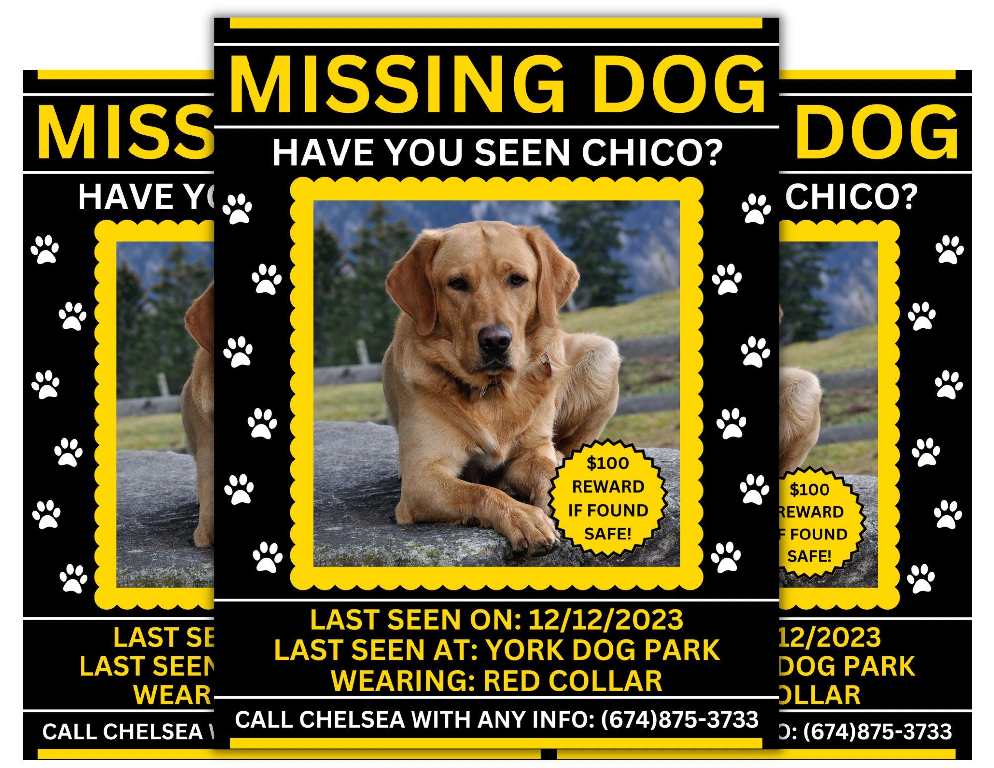 Black & Yellow Missing Dog Flyer Template, Editable Canva Missing Dog ...