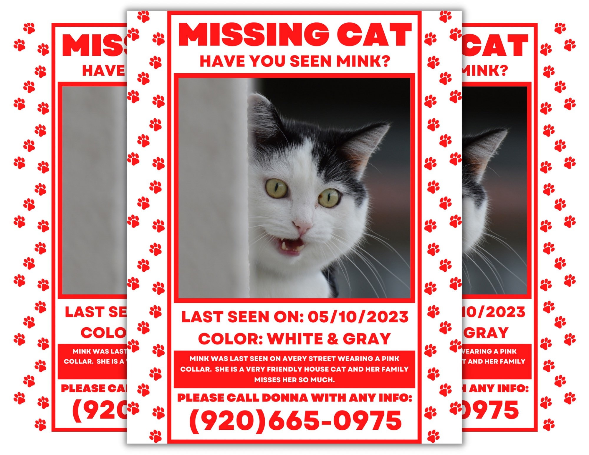 Editable Missing Cat Flyer Red Missing Cat Reward Poster Etsy