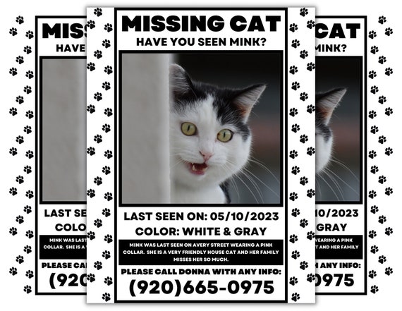 Cat Found Sign Template