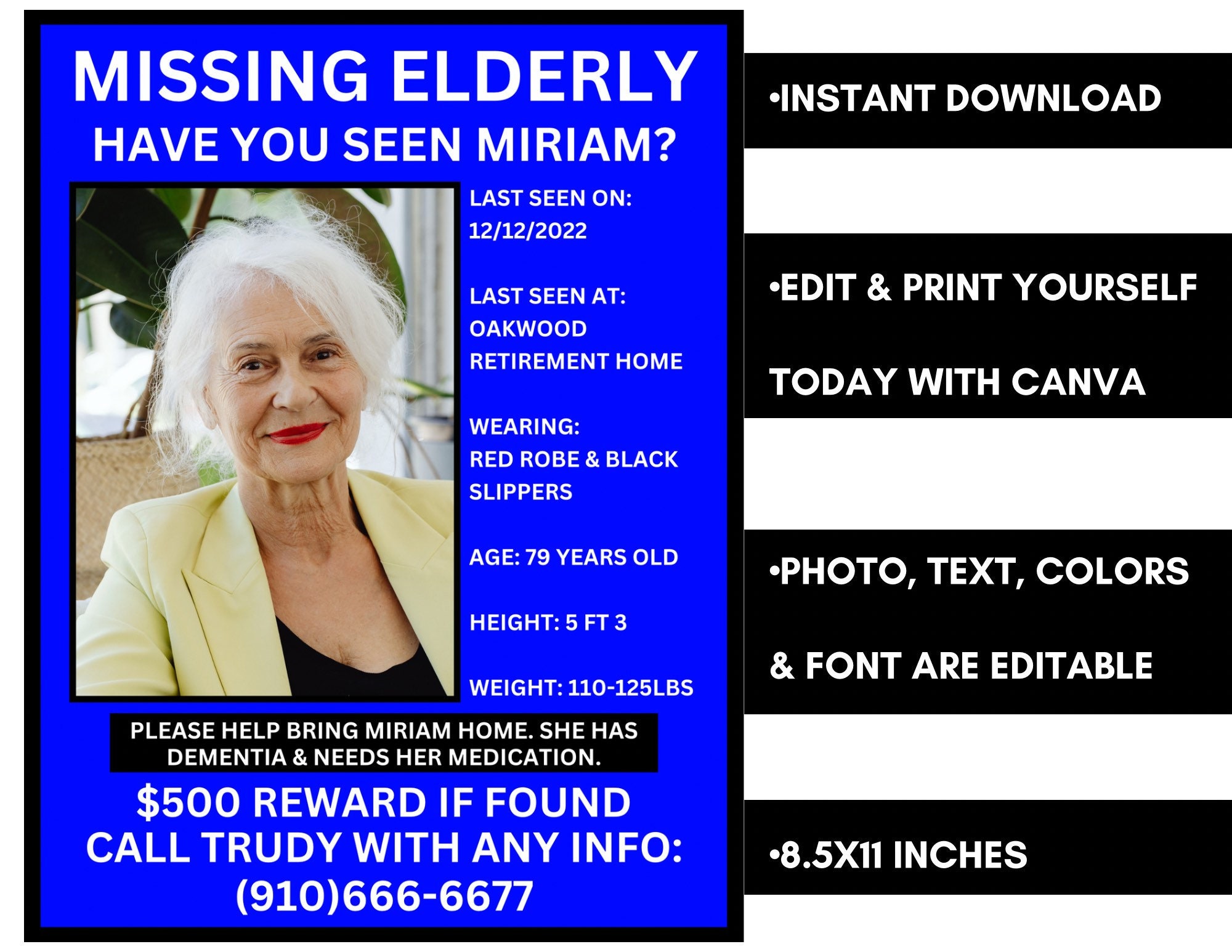 Missing Person Poster Template