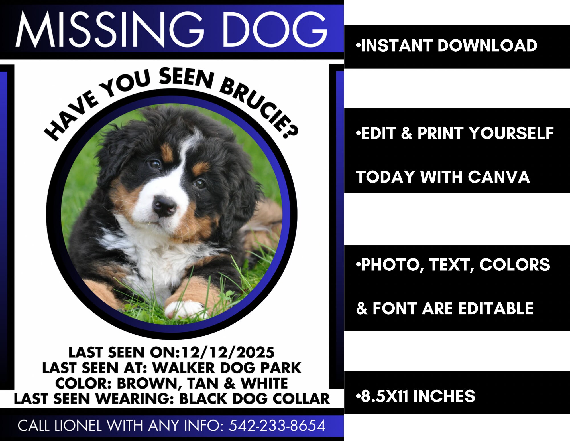 Editable Blue & Black Missing Dog Flyer Template, Missing Dog Poster - Etsy
