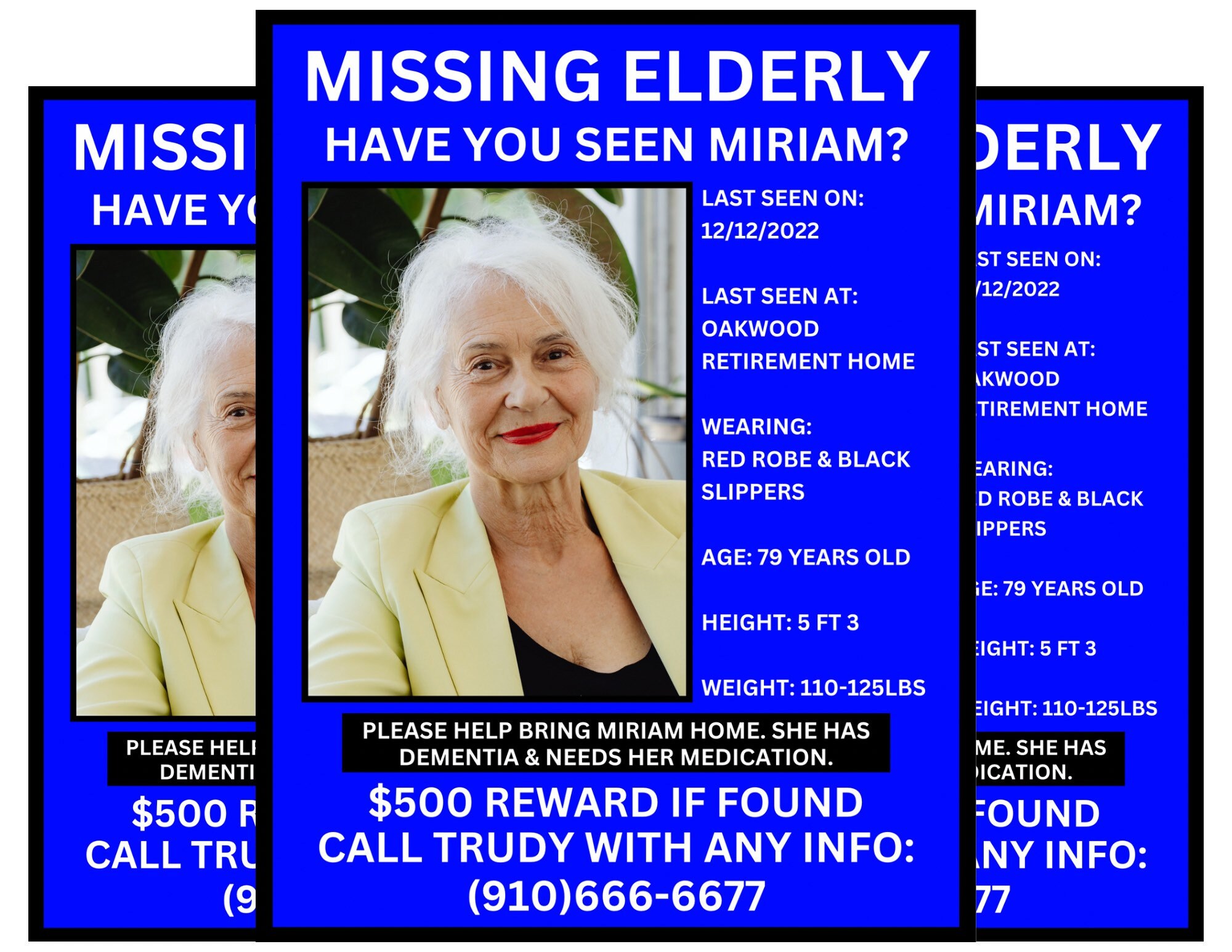 Blue Missing Elderly Flyer Template, Editable Missing Person Poster - Etsy