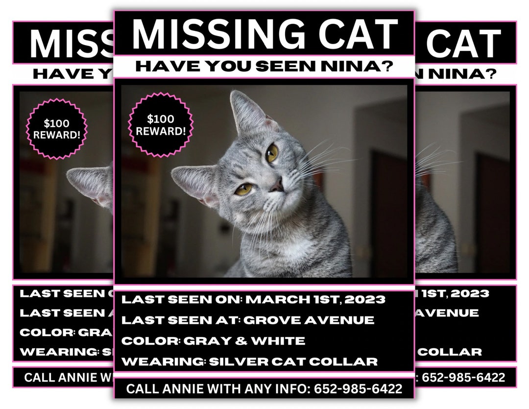 Editable Black & Pink Missing Cat Flyer, Canva Missing Cat Reward ...