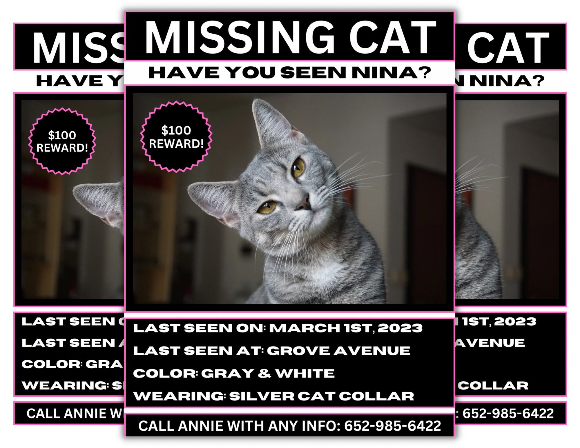Editable Black & Pink Missing Cat Flyer, Canva Missing Cat Reward ...
