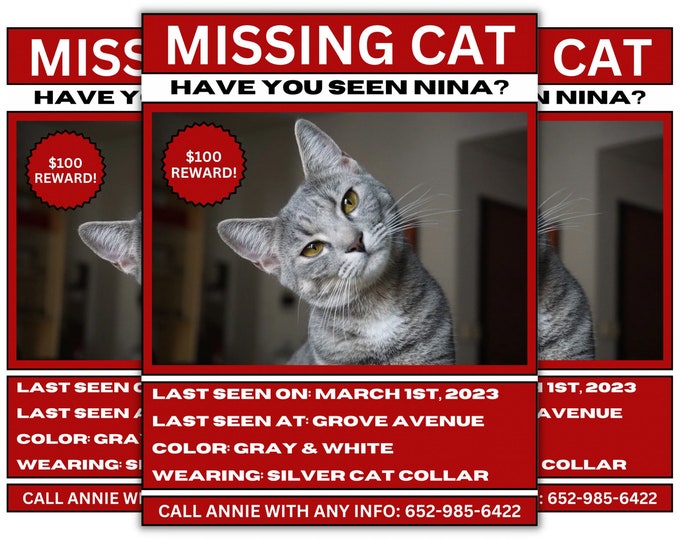 Editable Black & Red Missing Cat Flyer, Missing Cat Reward Poster - Etsy