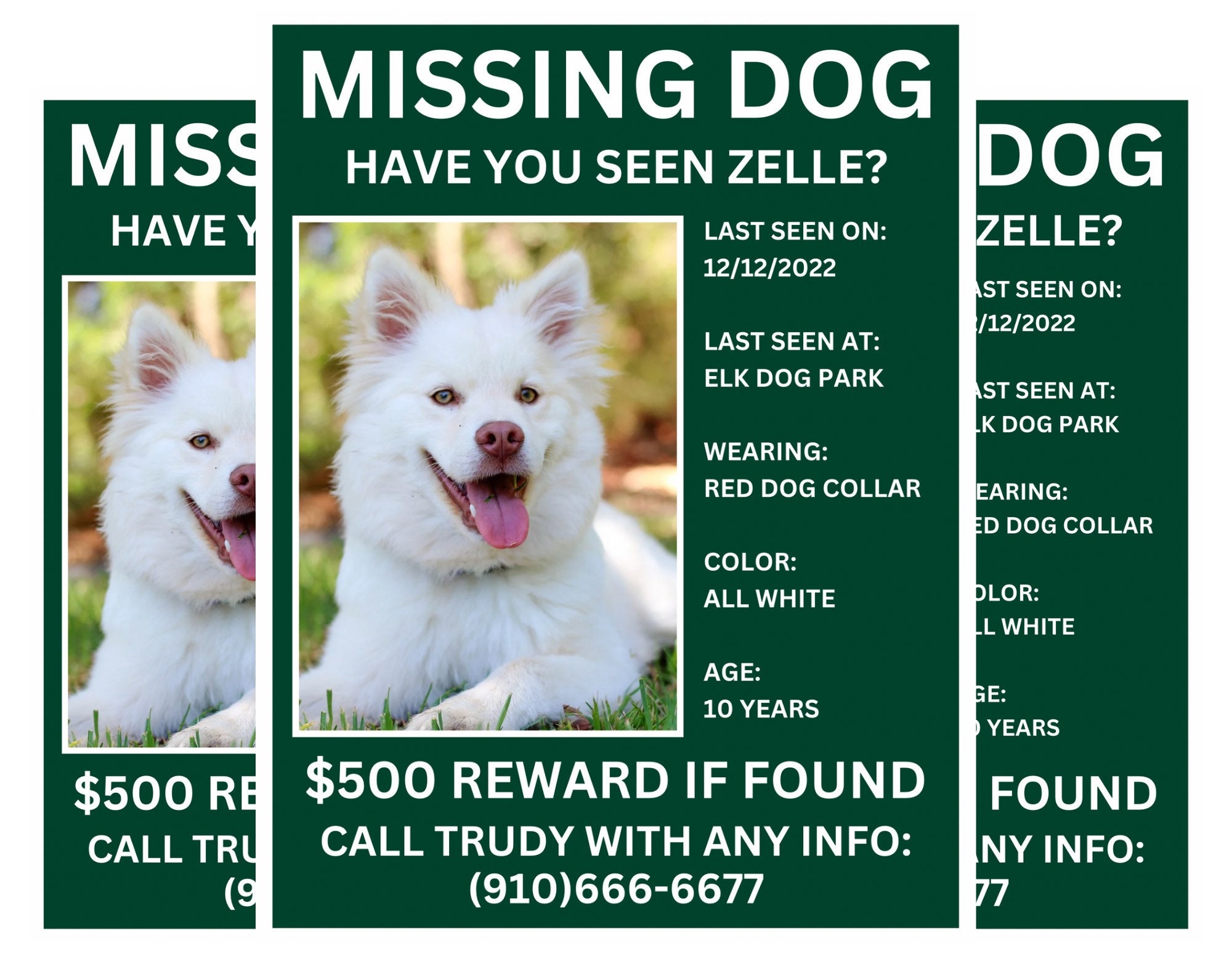 Editable Green & White Missing Dog Flyer Template - Etsy