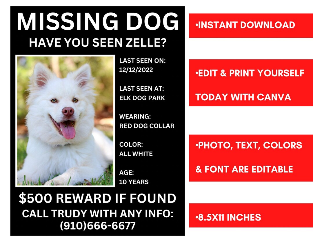 Editable Black & White Missing Dog Flyer, Missing Dog Reward Poster - Etsy
