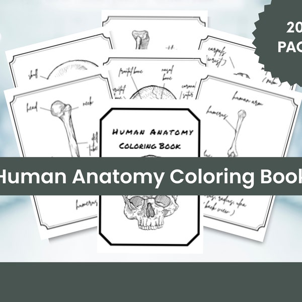 Adult Anatomy Coloring Page - Etsy