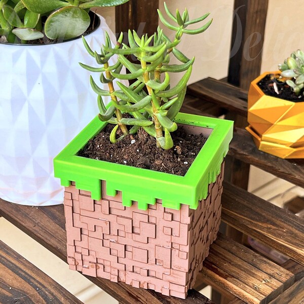 Succulent Planter - Etsy