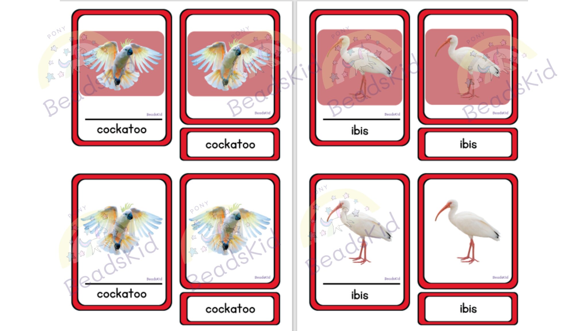 Montessori Exotic Birds-3 Part Cards-three Part Cards-montessori Cards ...