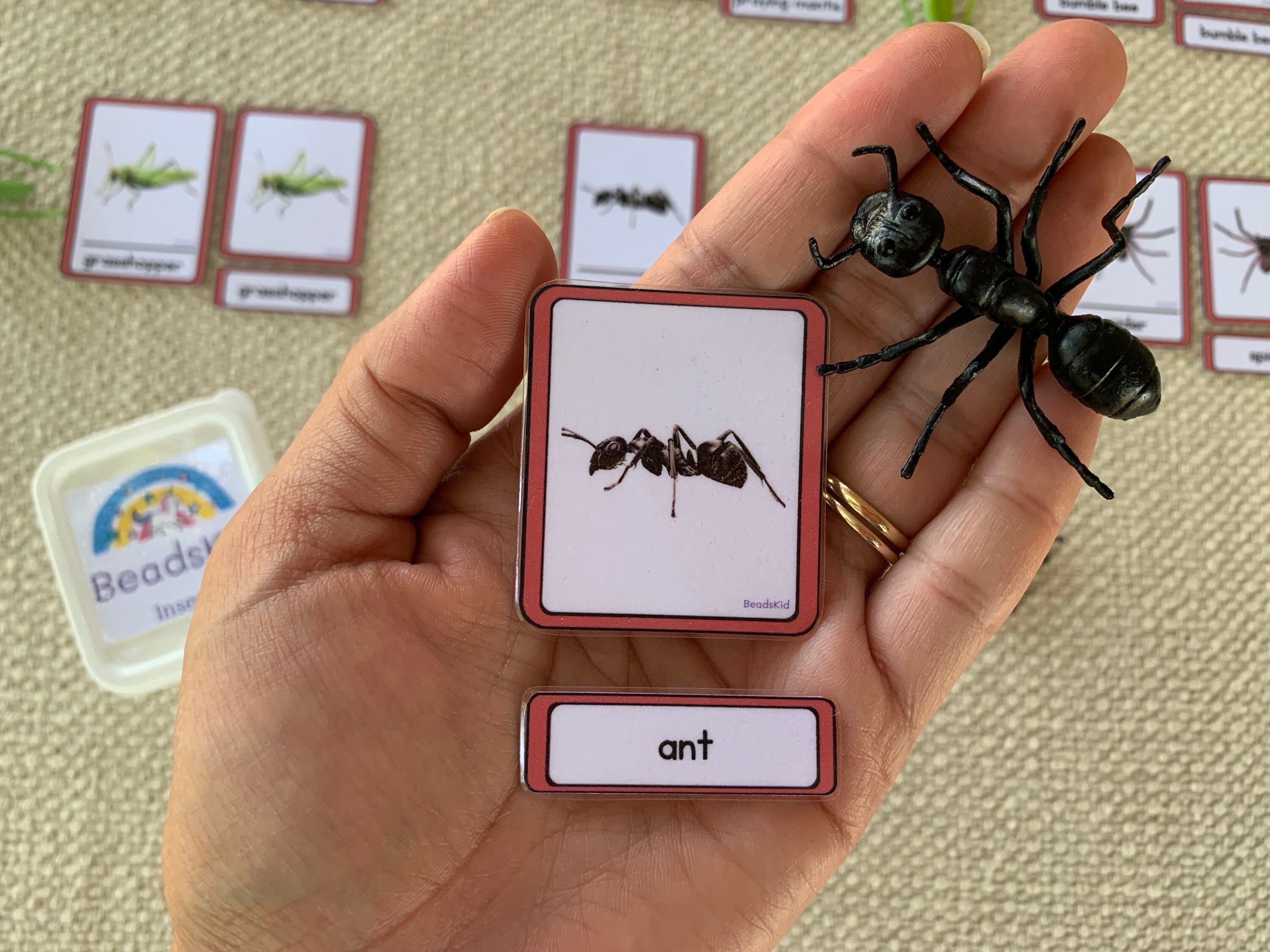 Miniature Montessori 3 Part Cards & Object Matching - Etsy