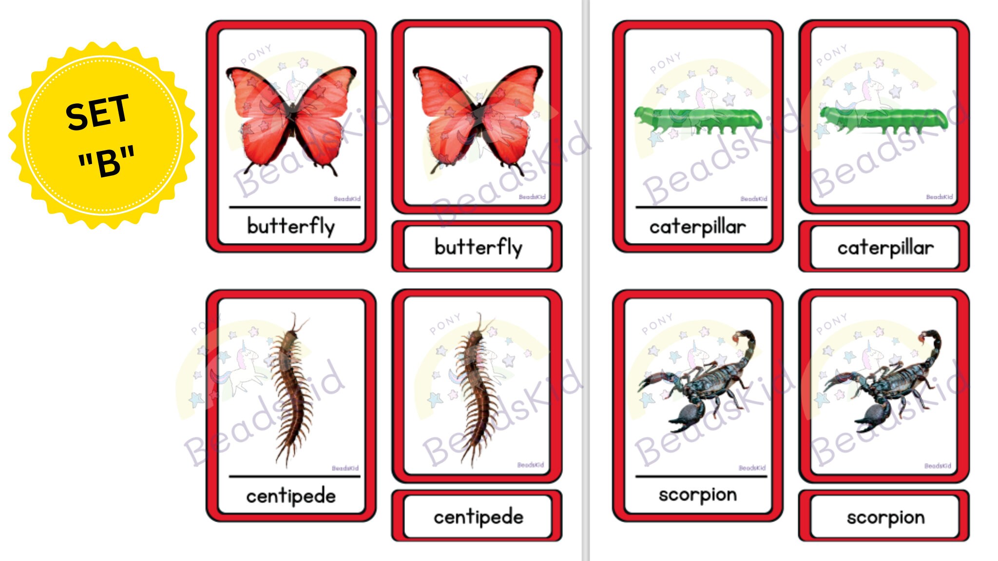Montessori Insects-3-part Cards-three Part Cards-montessori - Etsy