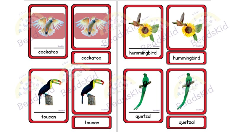 Montessori Exotic Birds-3 Part Cards-three Part Cards-montessori Cards ...