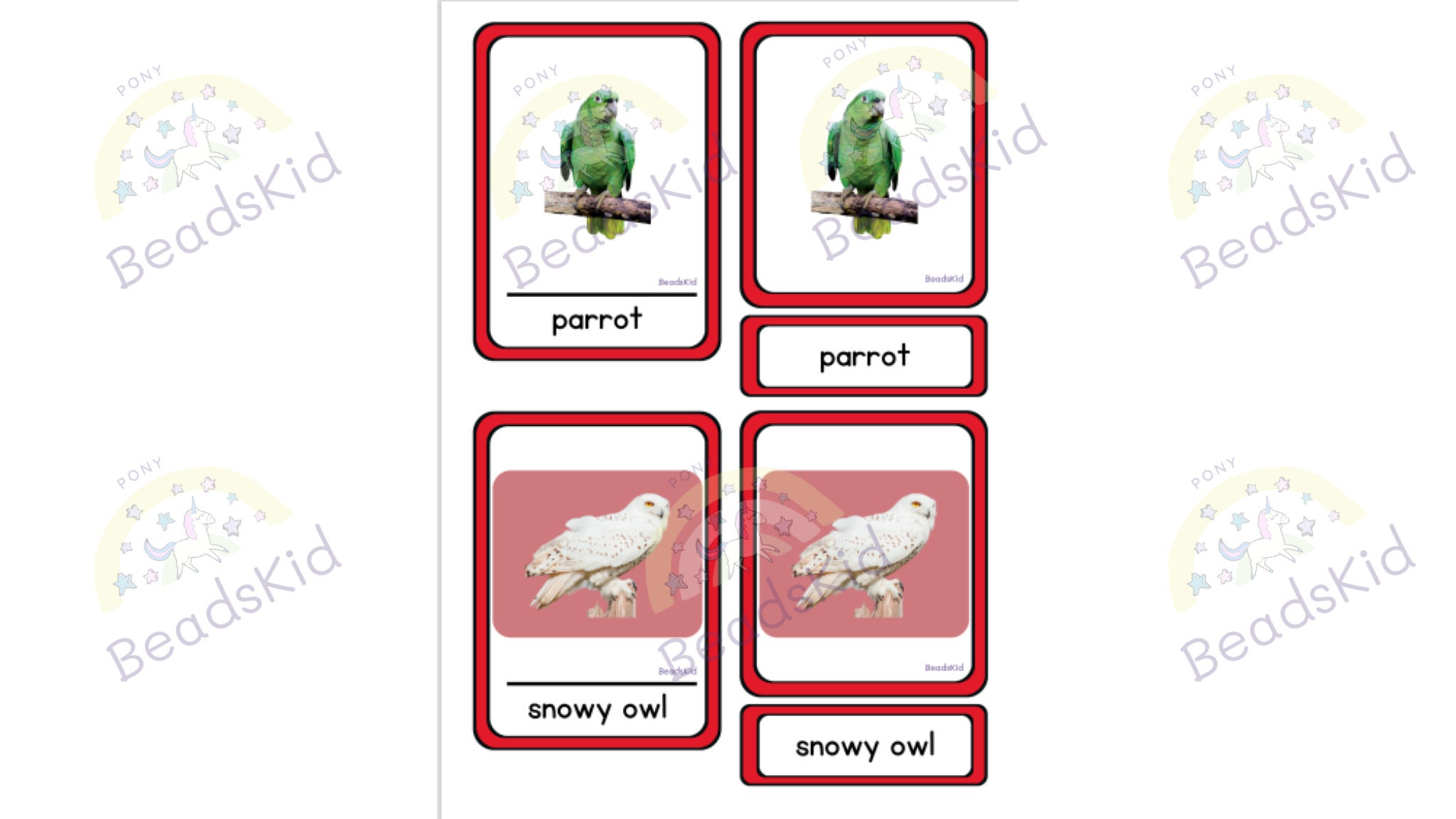 Montessori Exotic Birds-3 Part Cards-three Part Cards-montessori Cards ...