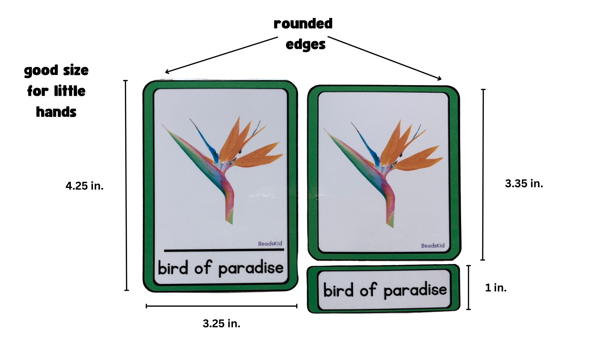 Montessori Exotic Birds-3 Part Cards-three Part Cards-montessori Cards ...