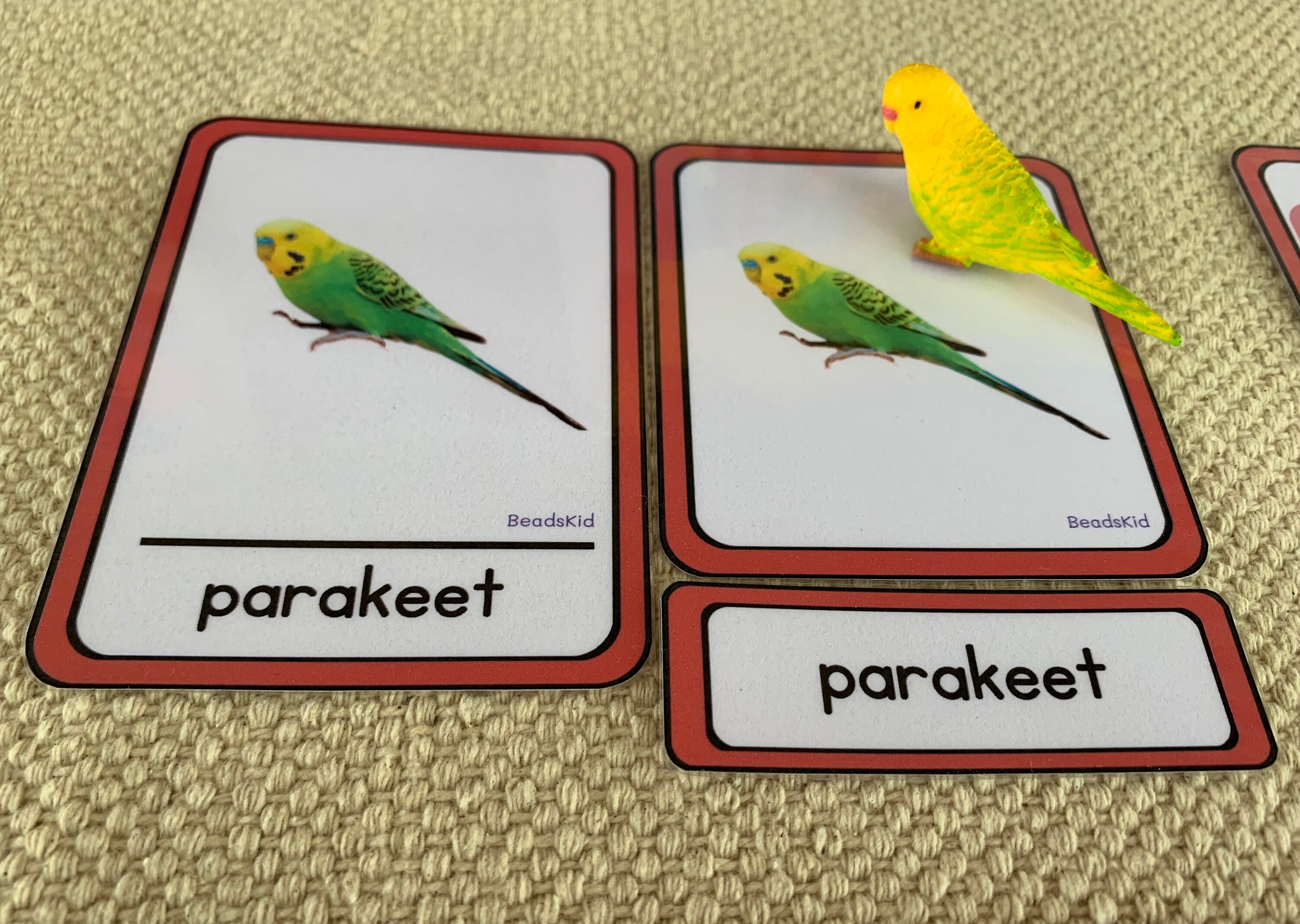 Montessori Exotic Birds-3 Part Cards-three Part Cards-montessori Cards ...