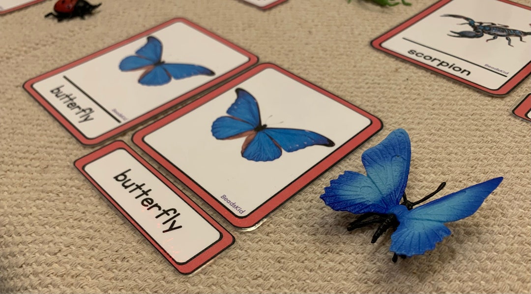 Montessori Insects-3-part Cards-three Part Cards-montessori Cards and ...