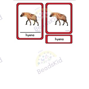 Montessori African Animals-3 Part Cards-three Part Cards-montessori ...