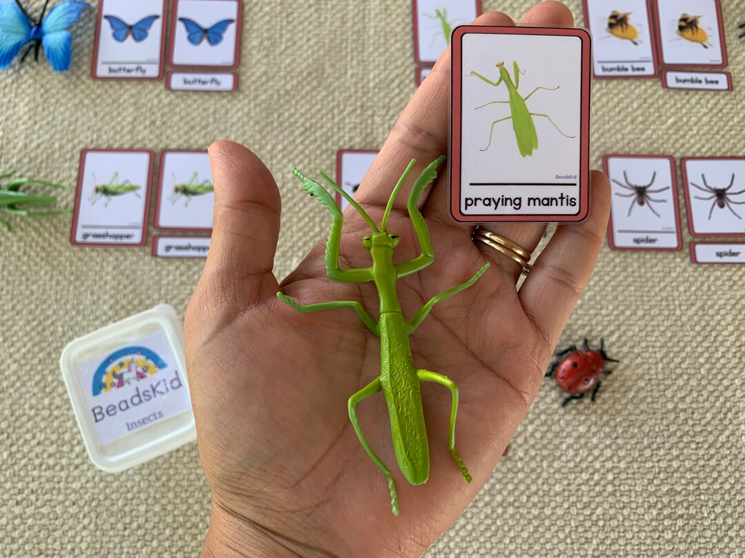 Miniature Montessori 3 Part Cards & Object Matching Montessori Objects ...