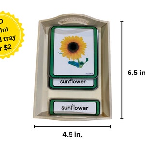 Montessori African Animals-3 Part Cards-three Part Cards-montessori ...