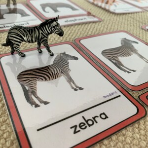 Montessori African Animals-3 Part Cards-three Part Cards-montessori ...